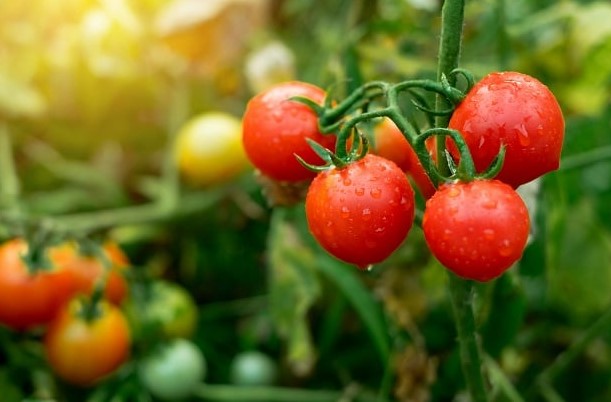 Pewaukee Private Events & Catering: Farm to Table Restaurant | Parkside 23